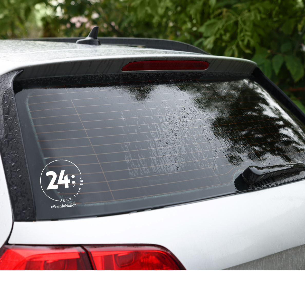 Just This Set Of 24 – Cedar Springs Sales & Graphix